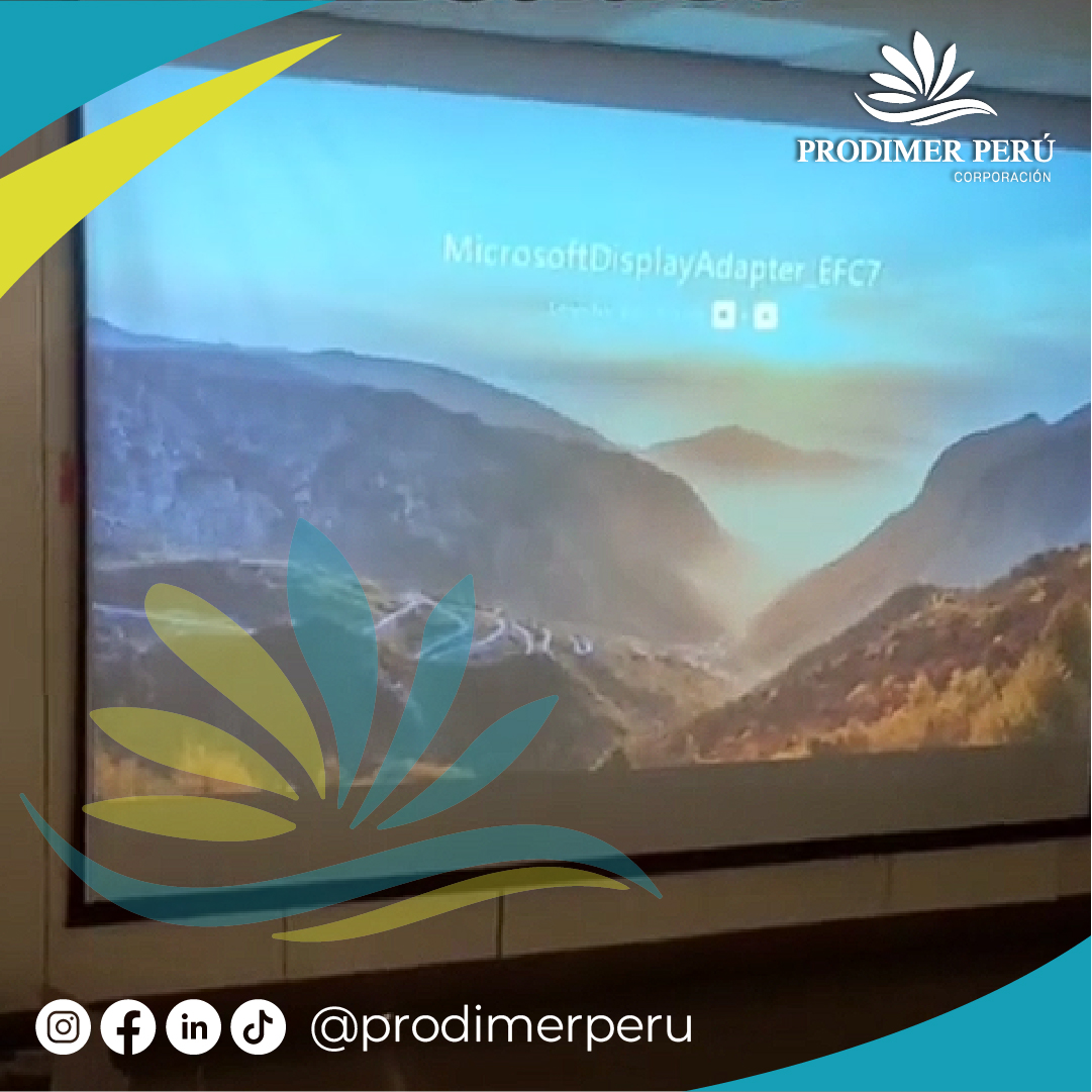 Servicios – PRODIMER PERÚ